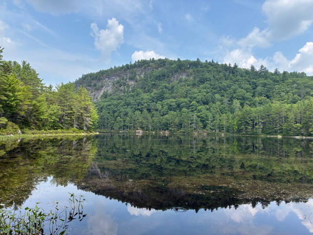 Summertime…. – Denmark Mountain Hikers