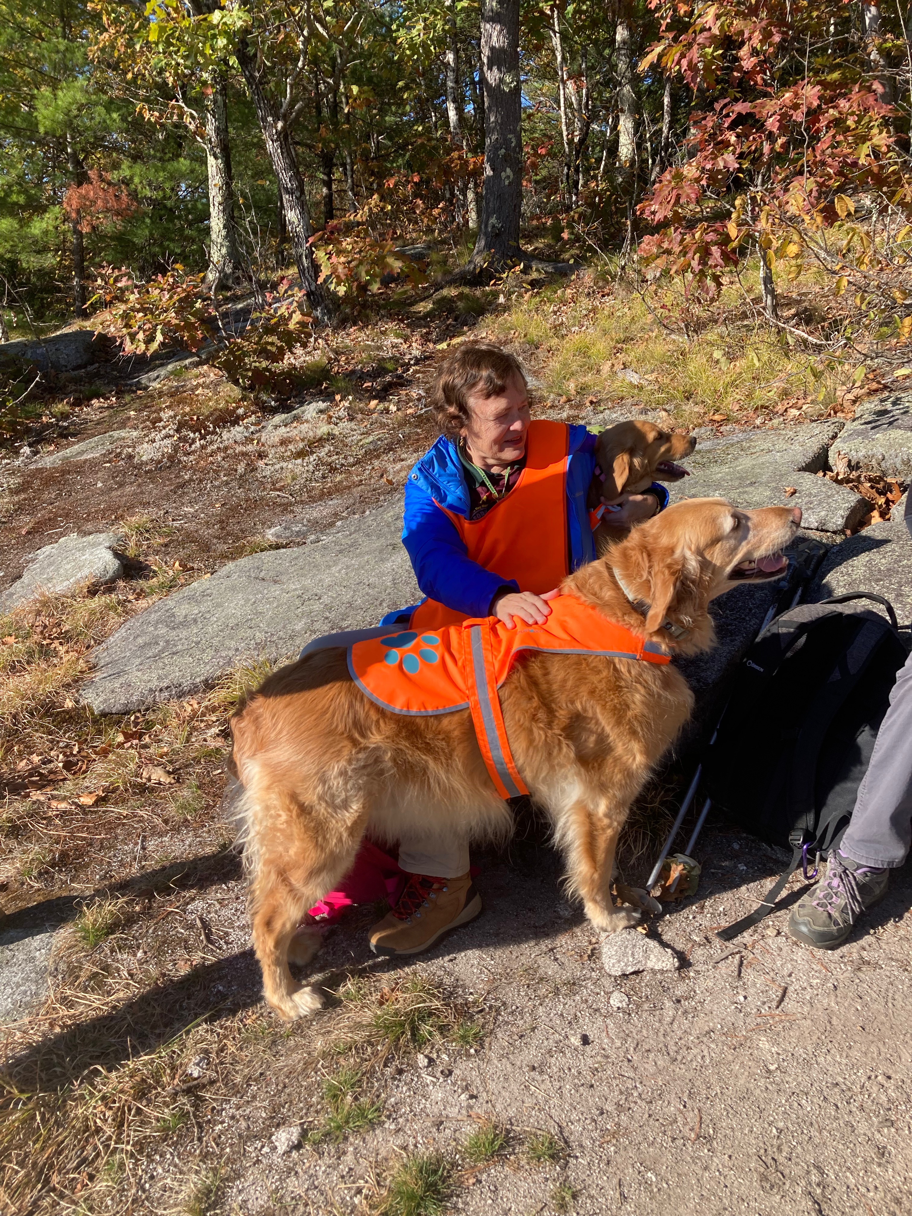 Hike Report: Bald Ledges October 17, 2025 – Denmark Mountain Hikers
